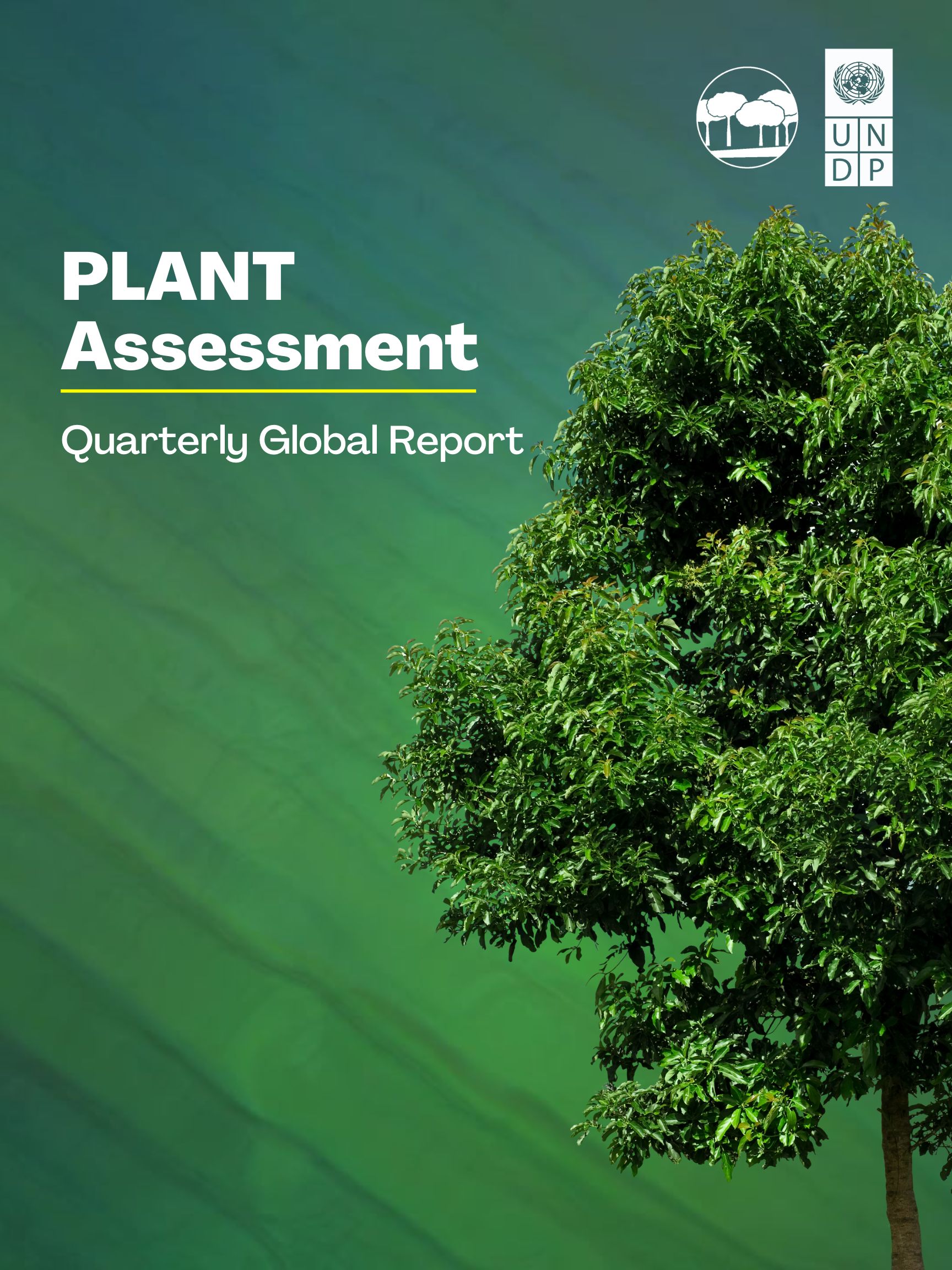PLANT Quarterly Global Assessment Report Climate And Forests PLANT Quarterly Global Assessment Report Climate And Forests